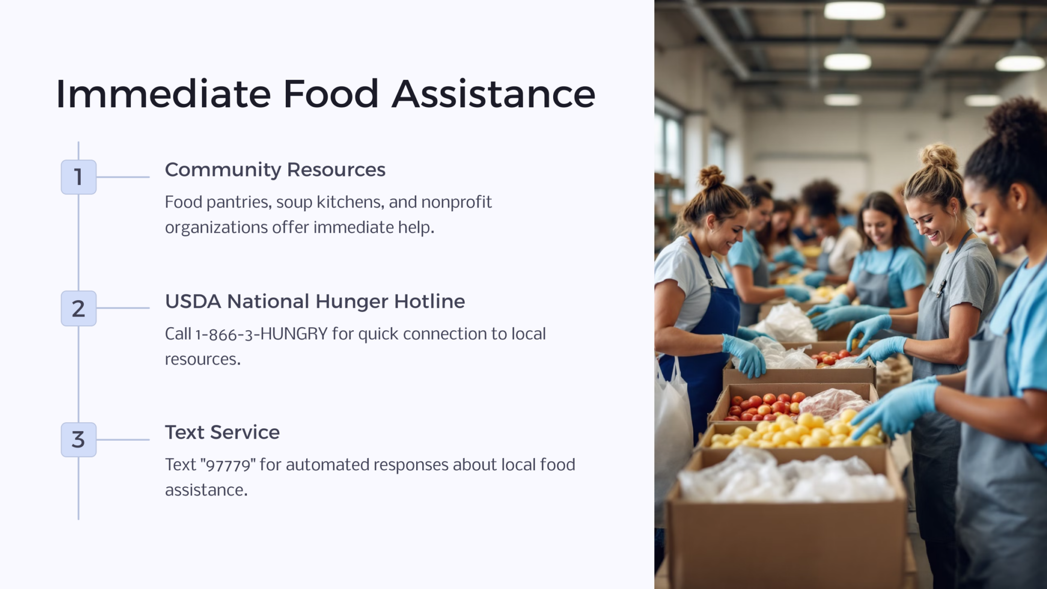 Which Food Assistance Program Is Right for Me?